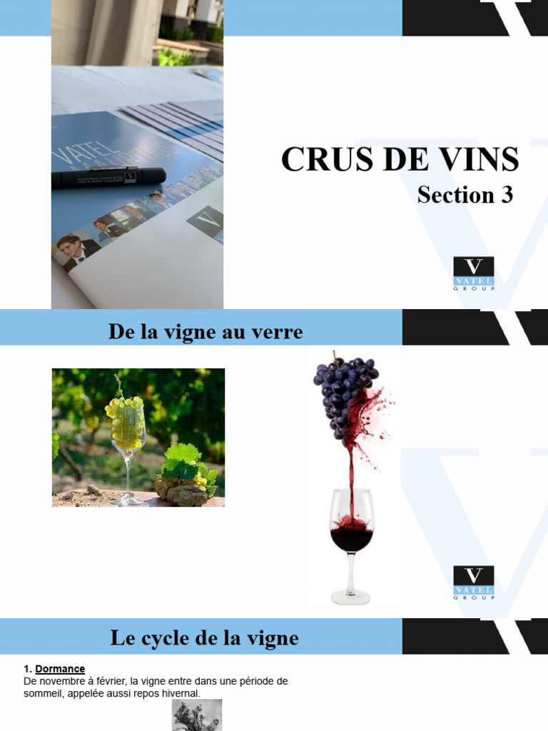 Section 3 | PDF | Vins | Vinification