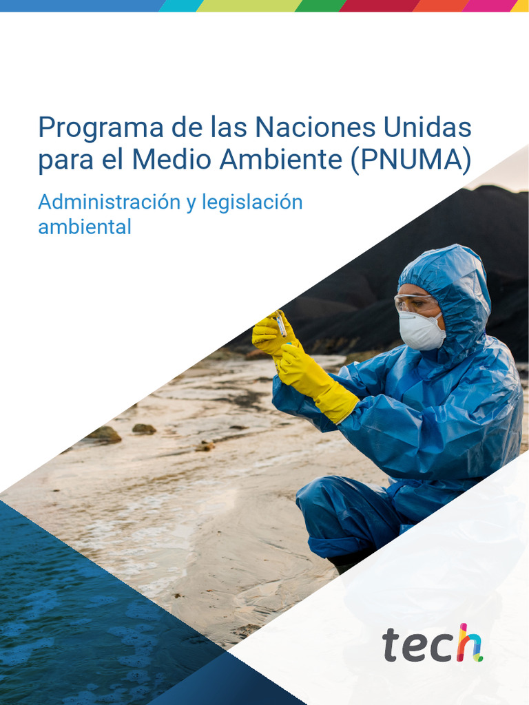 Objetivos del PNUMA y su Evolución | PDF | Programa del Medio Ambiente ...