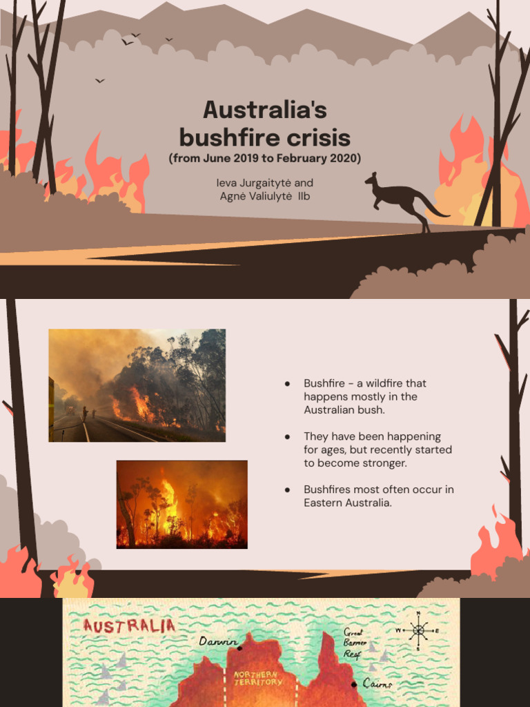 Australia's 2019-2020 Bushfire Crisis Overview | PDF