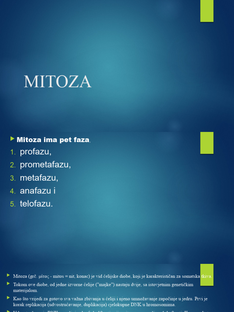 MITOZA | PDF