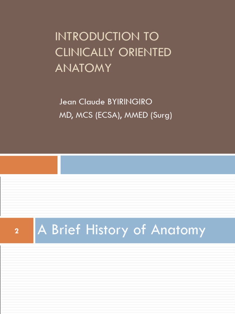 Introduction To Clinically Oriented Anatomy Pdf Anatomical Terms Of