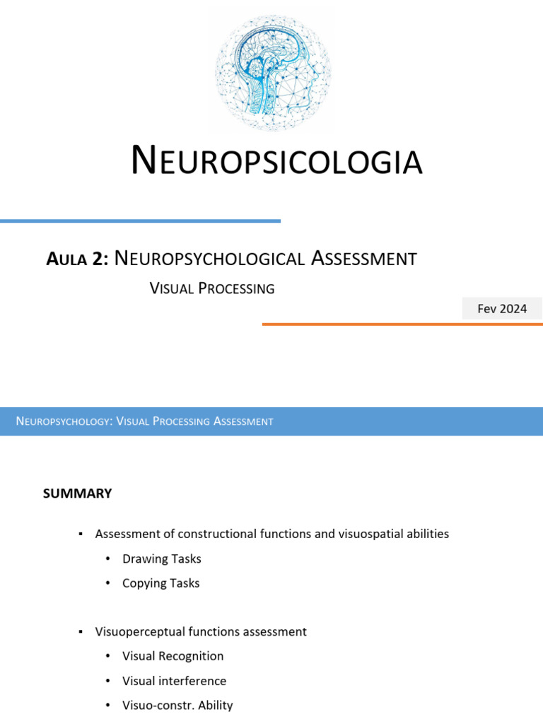 AULA 2P - Processamento Visual | PDF | Visual Cortex | Visual System