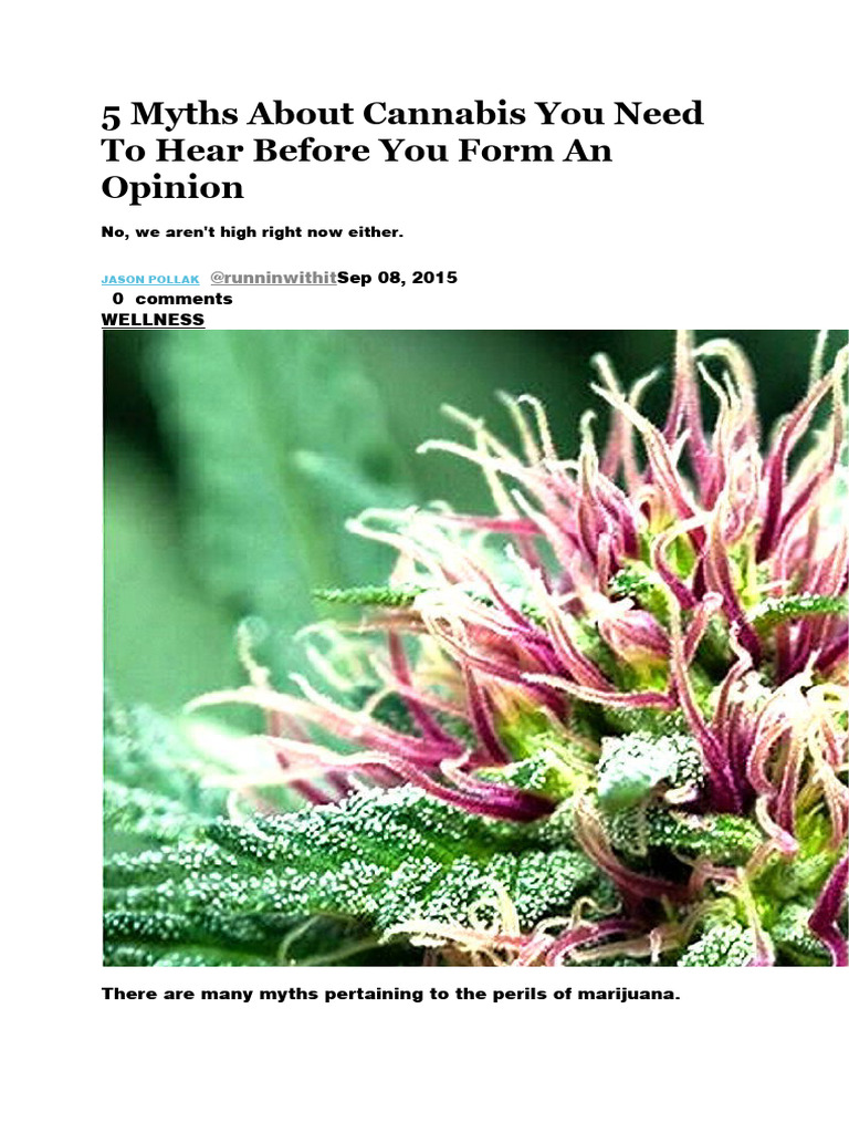 5 Myths About Cannabis You Need To Hear Before You Form An Opinion
