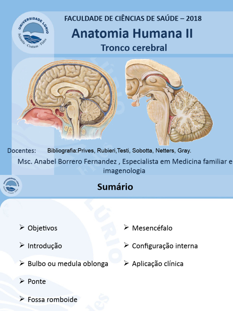 Aula Anatomia II - Tronco Encefálico | PDF | Medula espinhal | Cérebro