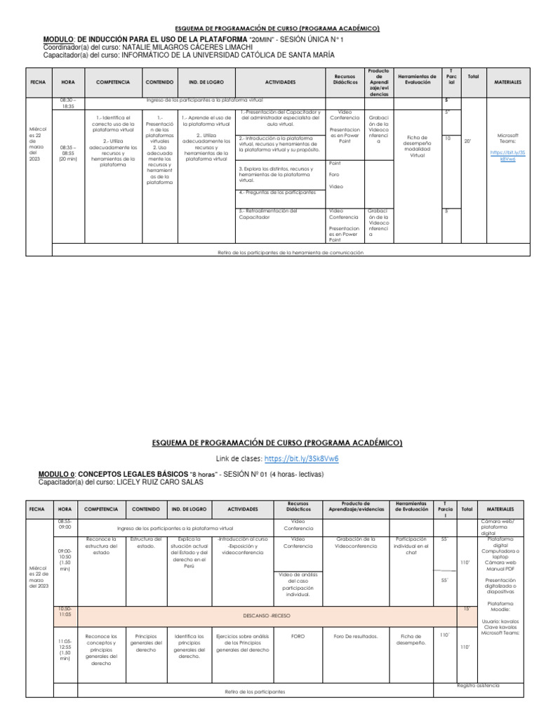 ESQUEMA DE PROGRAMACIÓN 17vo CURSO | PDF | Moodle | Videotelefonía