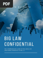 The Skeleton Argument | PDF | Judgment (Law) | Appeal