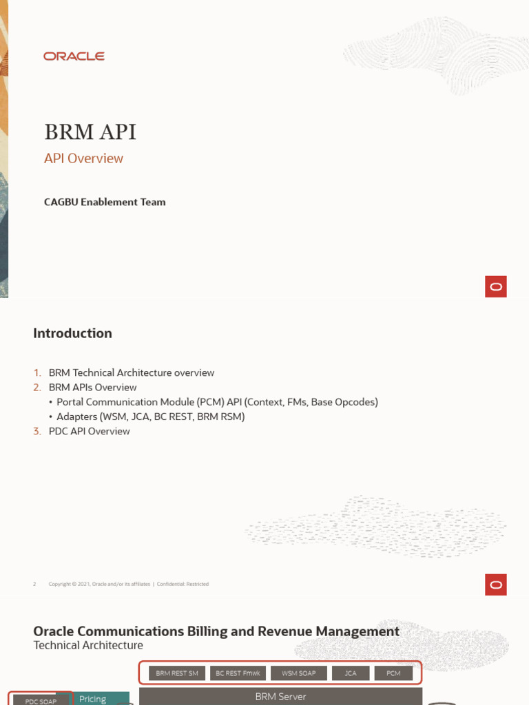 Technical Overview 09 - API | PDF | Web Service | Java (Programming Language)