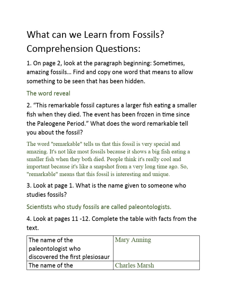 What Can We Learn From Fossils Comprehension Questions 1 | PDF | Fossil | Dinosaurs