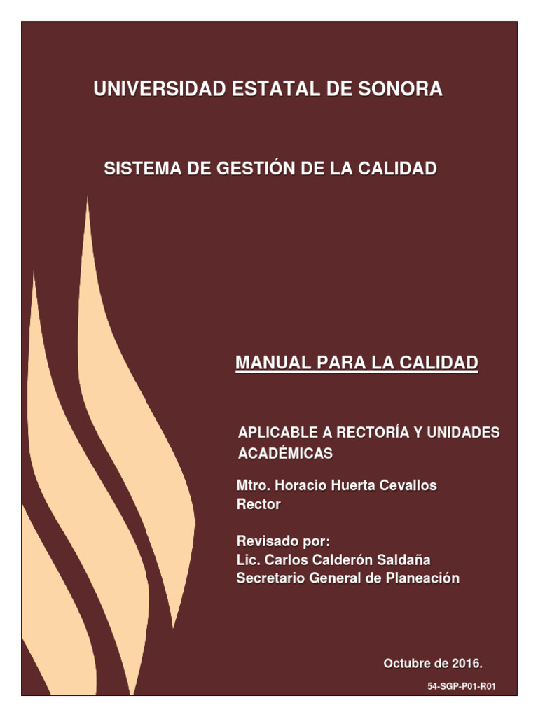 Manual de Calidad | PDF | Calidad (comercial) | Sistema de manejo de calidad