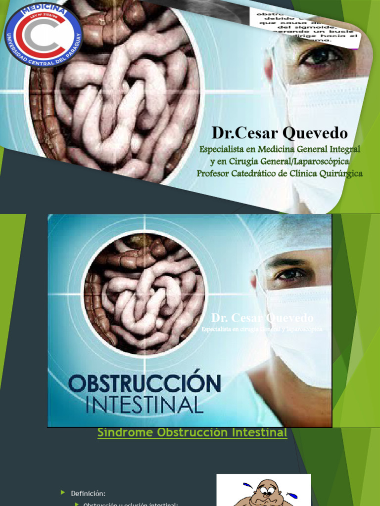 SX Obsrt Volvulo Intestinal. Dr. Quevedo | PDF | Intestino grueso ...