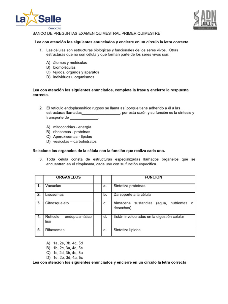 10 Examen 1Q | PDF | Mitosis | Sistema nervioso