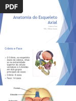 Aula de Suturas Do Crânio | PDF | Crânio | Morfologia (Biologia)