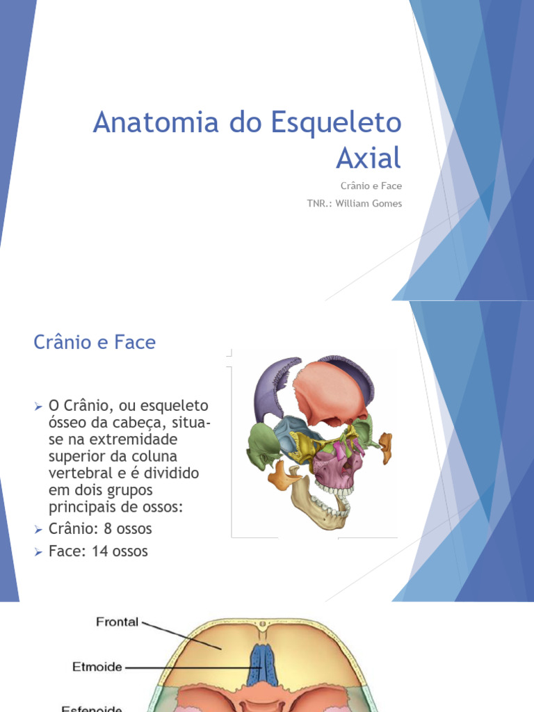 ANATOMIA ESQUELETO AXIAL | PDF | Crânio | Sistema Locomotor