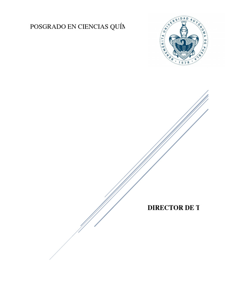 Protocolo Alan Corregido | PDF | Catálisis | Adsorción