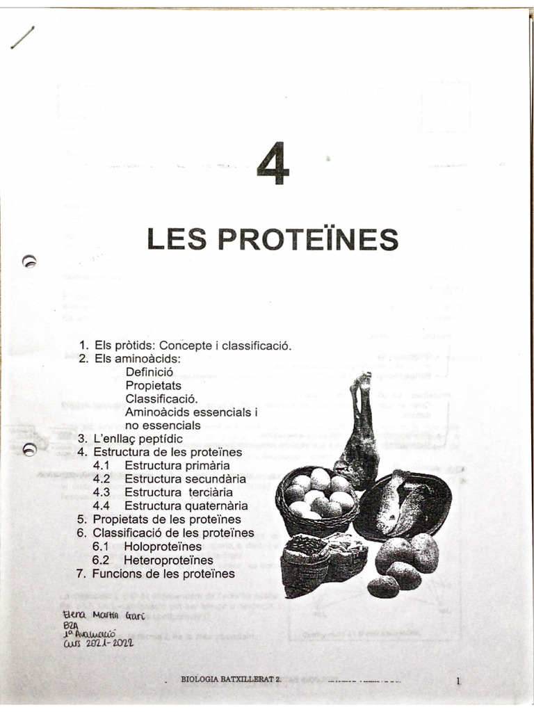 Les Proteïnes | PDF