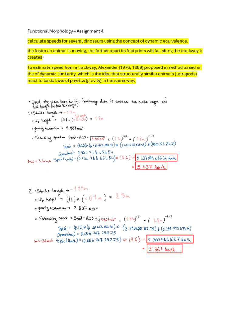Functional Morphology - Assignment 4 - Final | PDF