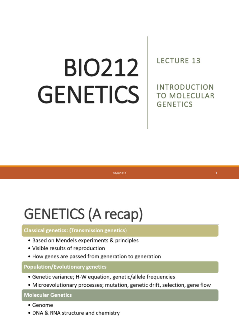 Bio212 2024 L13 Introduction To Molecular Genetics | PDF | Dna | Nucleotides