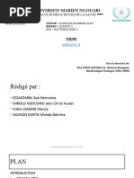 Échelle de Bristol des selles : Guide médical | PDF