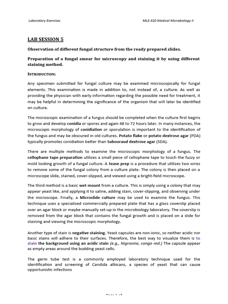 Lab Excercise 5 (Fungi) (2023-2024) | PDF | Fungus | Staining