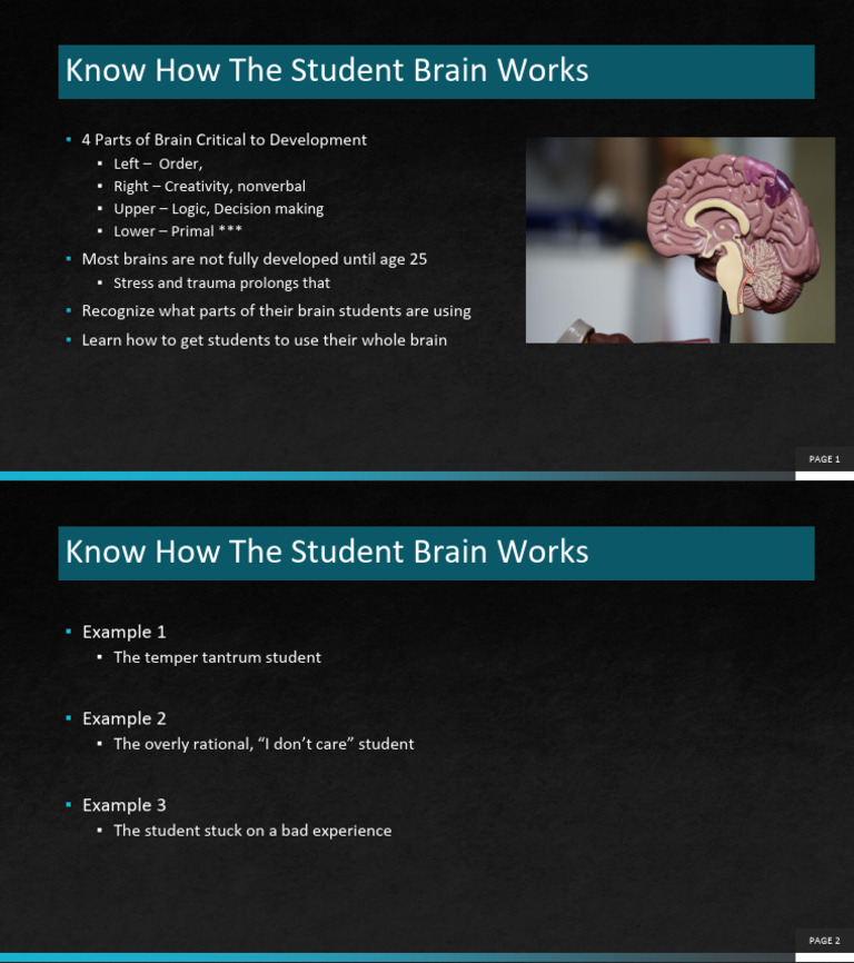 Understanding Student Brain Development Pdf