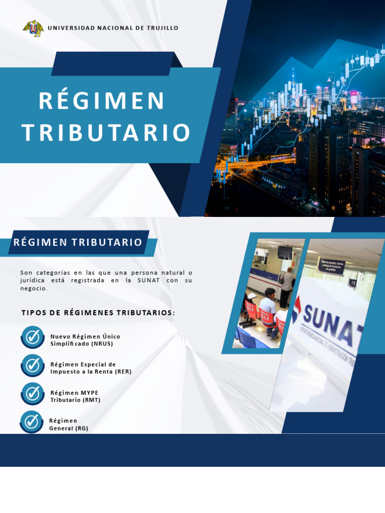 Regimen Tributario | Descargar gratis PDF | Impuestos | Impuesto sobre la renta