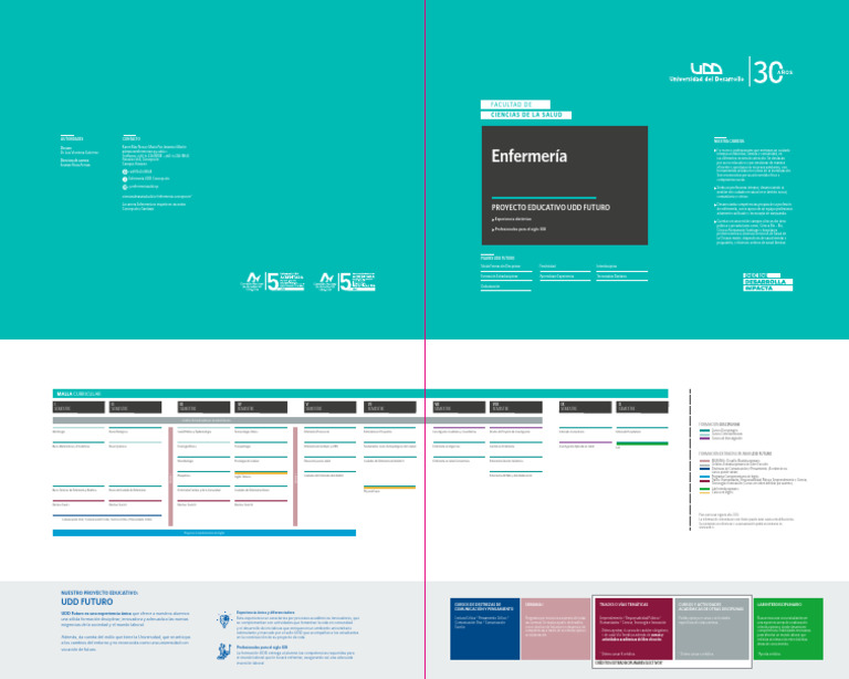 08.-Malla-Enfermería CCP 2021 | PDF | Enfermería | Experiencia