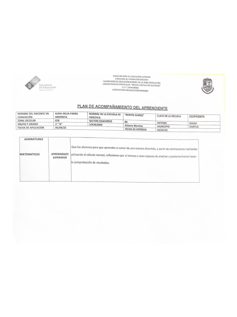 Plan de Acompañamiento Del Aprendiente | PDF