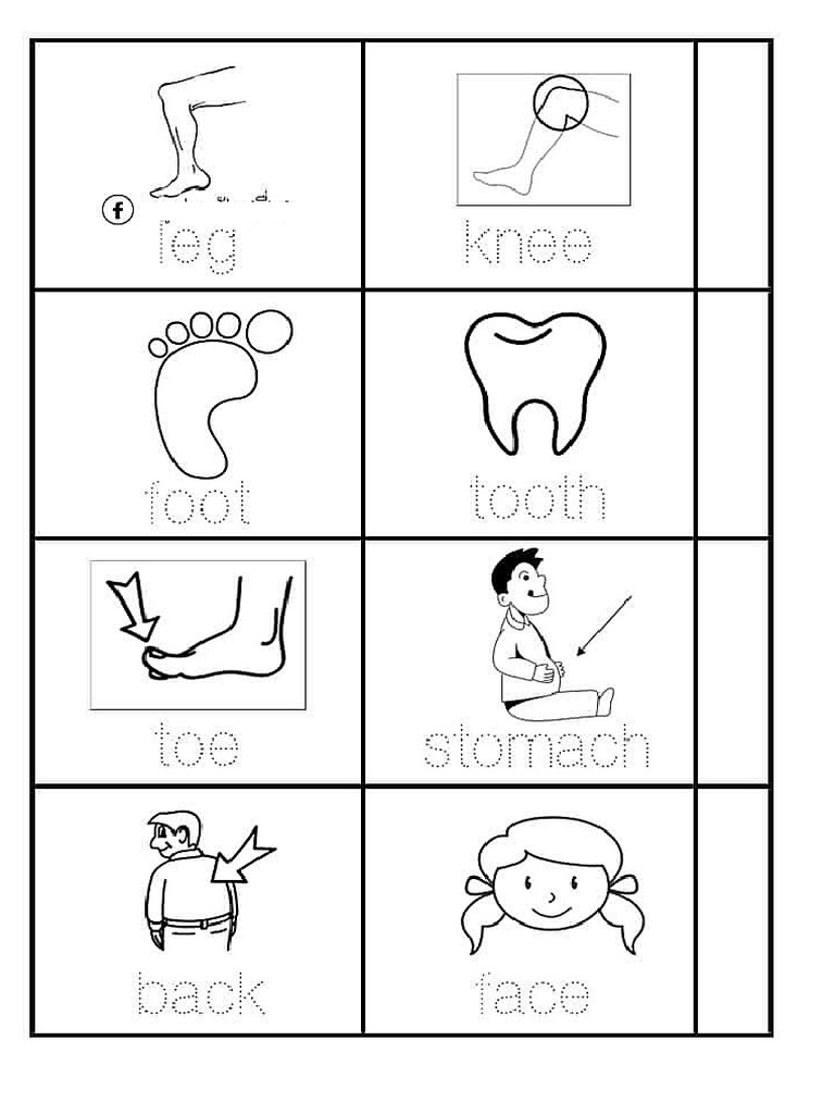 Printable Body Parts Worksheet