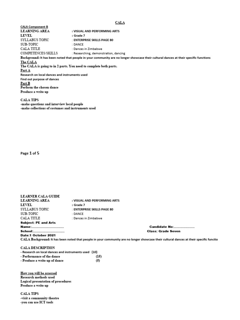 VPA CALA-Dances in Zim | PDF | Cognitive Science | Behavior Modification