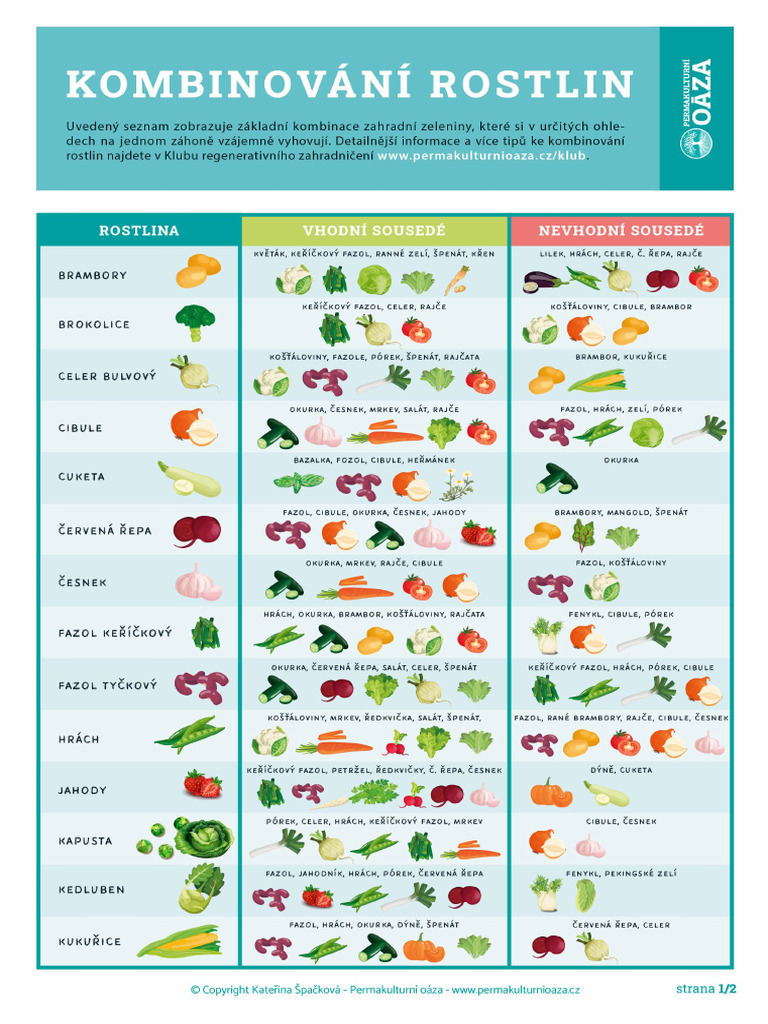 tabulka-kombinovani-rostlin-a4 | PDF