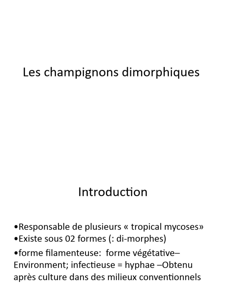 2024 Les Champignons Dimorphiques 2024 | PDF | Chauve-souris | Biologie