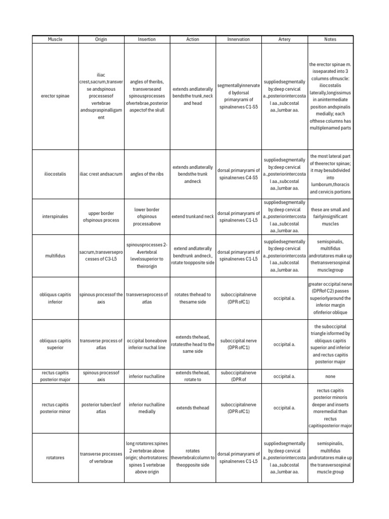 Muscles of Anatomy Chart | Download Free PDF | Arm | Vertebra