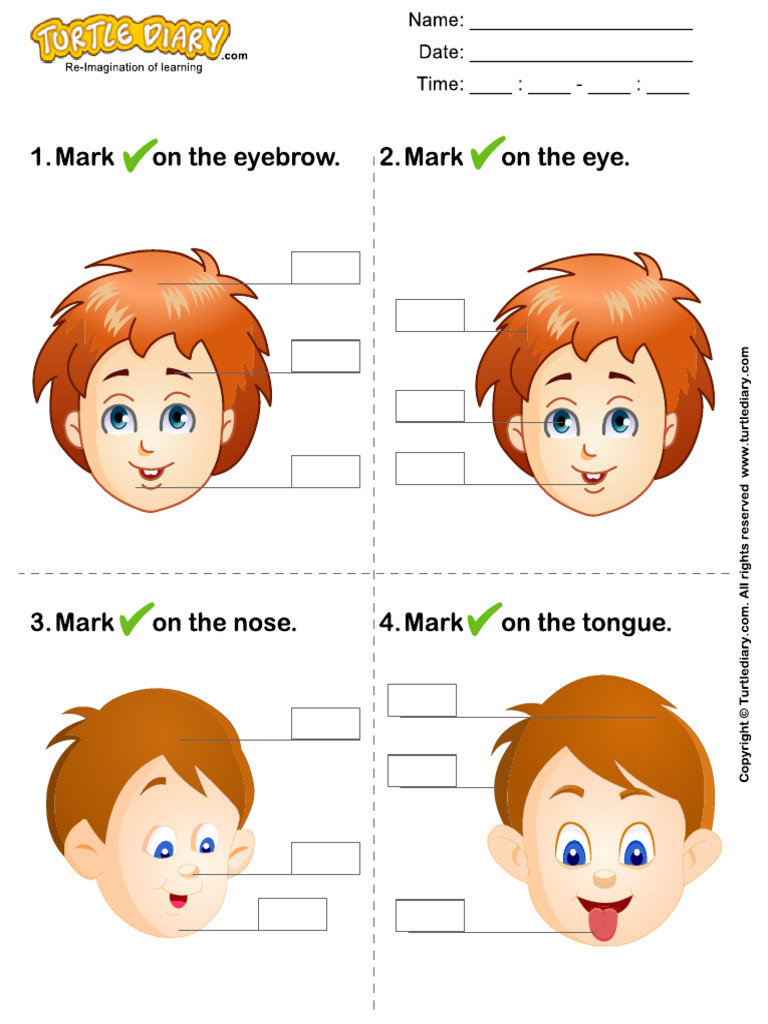 Human Body Face Parts Names | PDF