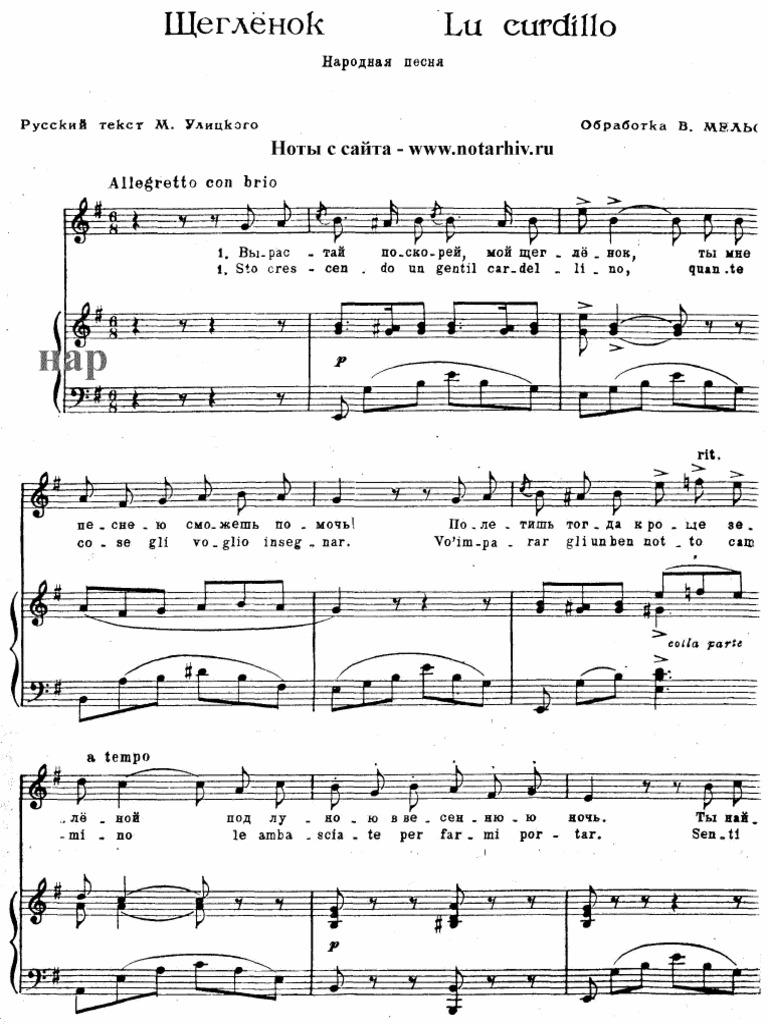 Lu Cardillo | PDF