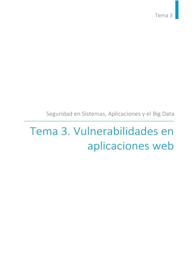 Vulnerabilidades en Aplicaciones Web | PDF | Modelo de objeto de ...