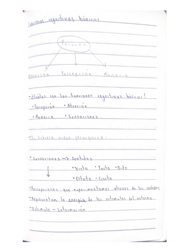 Documentos Escaneados | PDF