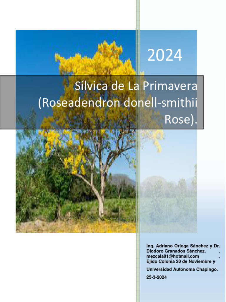 Silvica de la Primavera: Roseadendron donnell-smithii | PDF | Plantas ...