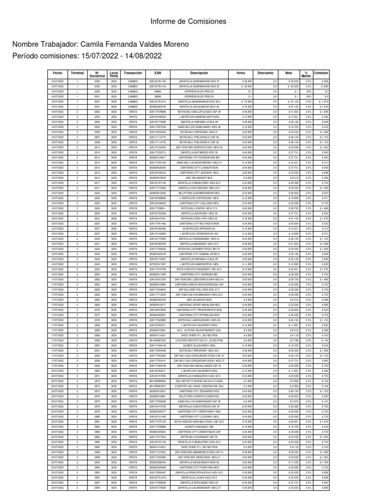 Informe de Comisiones Agosto | PDF