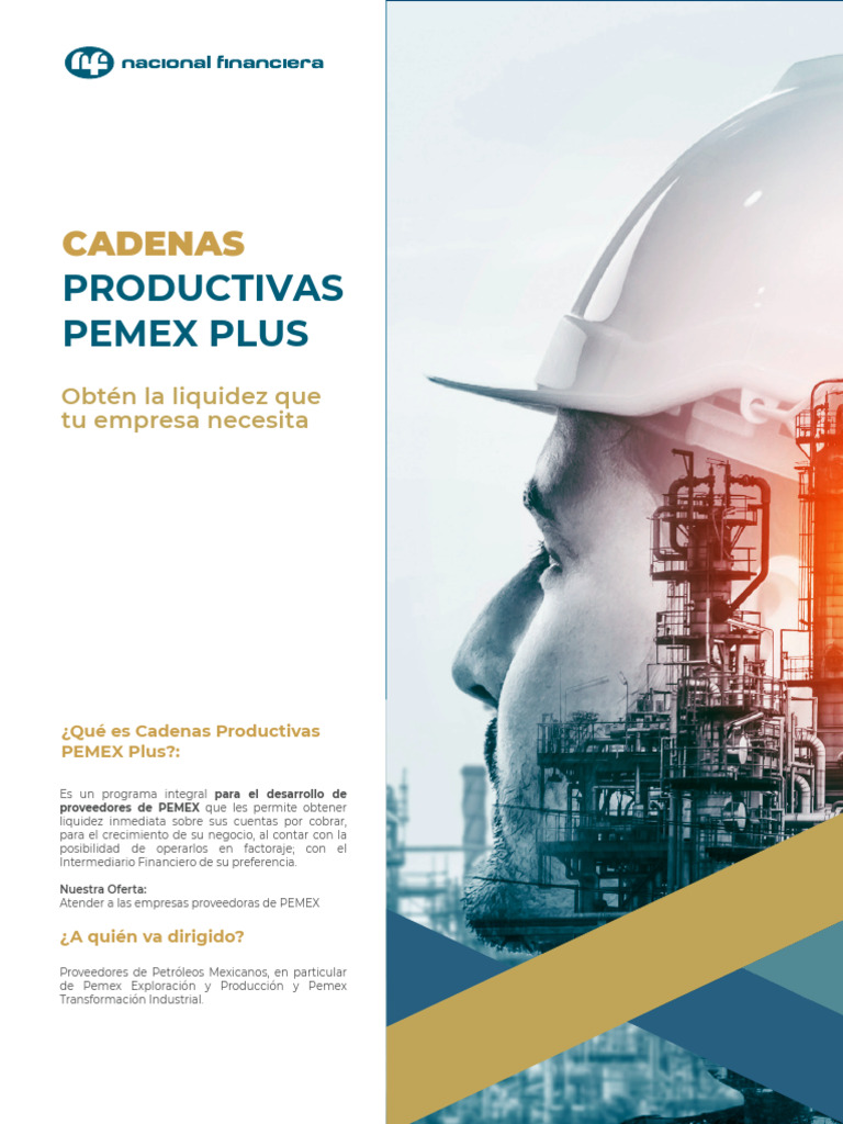 Cadenas PEMEX Plus | PDF | Business | Economias