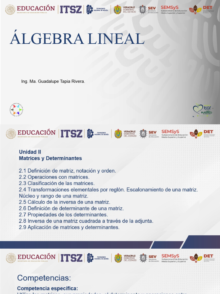 Álgebra Lineal Unidad Ii 2 | PDF | Determinante | Matriz (Matemáticas)
