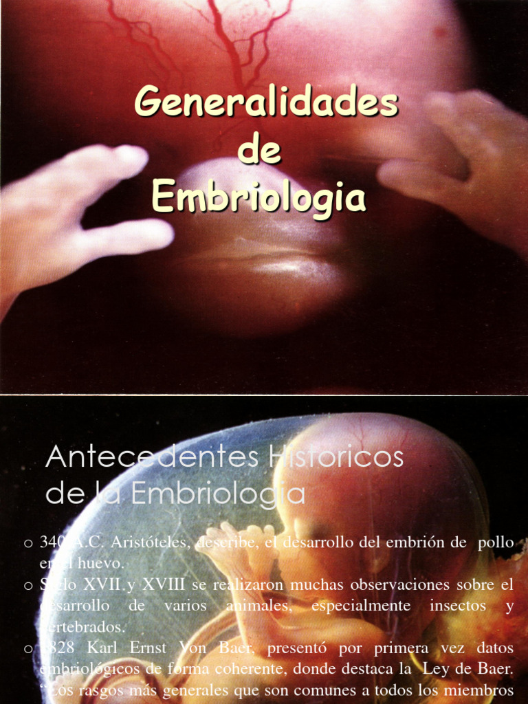 Introducción A La Embriologia PDF | PDF