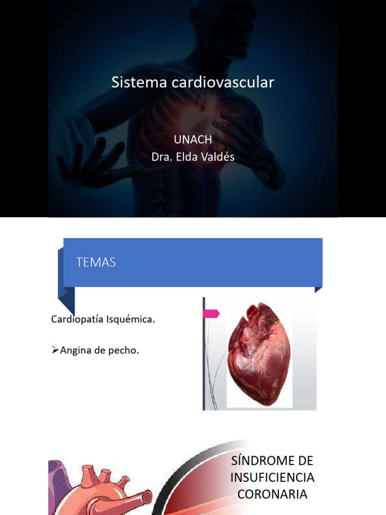 Sistema Nervioso y Cardiovascular | PDF | Meningitis | Insuficiencia ...