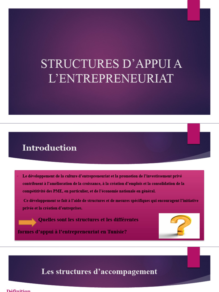 Les Structures D'appui | PDF | Entrepreneuriat | Business