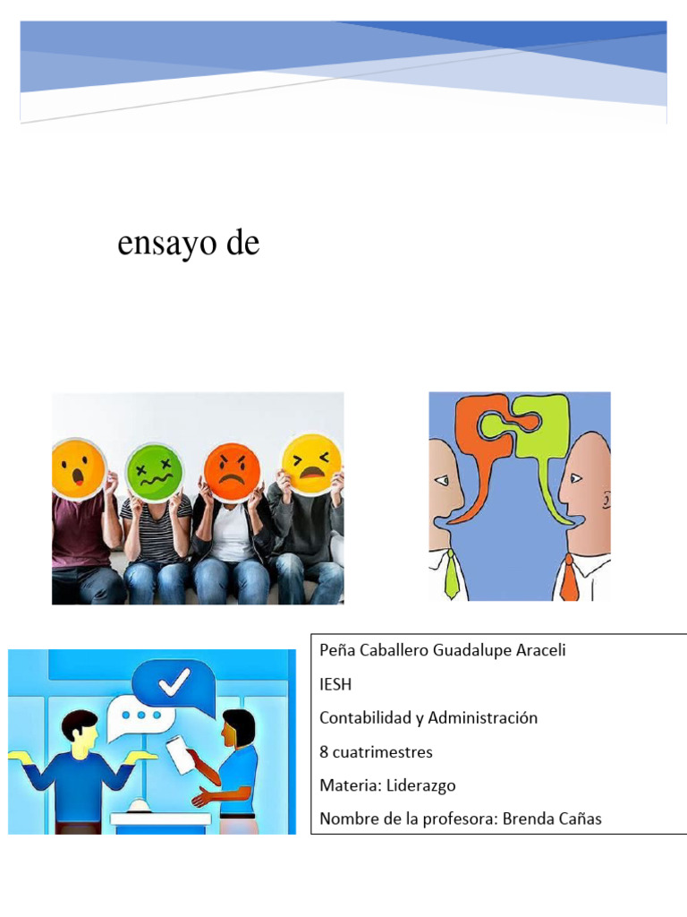 Modelo de Bolton y Grover Bolton E2 | PDF | Liderazgo | Las emociones