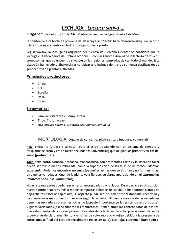 LECHUGA | Descargar gratis PDF | Lechuga | Fertilizante