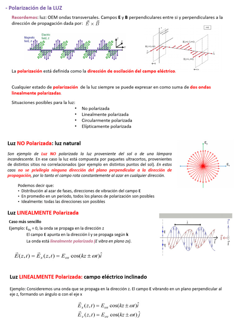 17 - Polarizacion de La Luz | PDF | Polarización (ondas) | Olas
