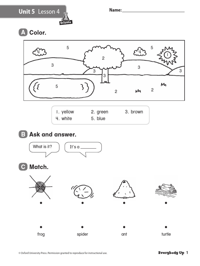 Everbody Up 1 Unit 5 Lesson 4 | PDF