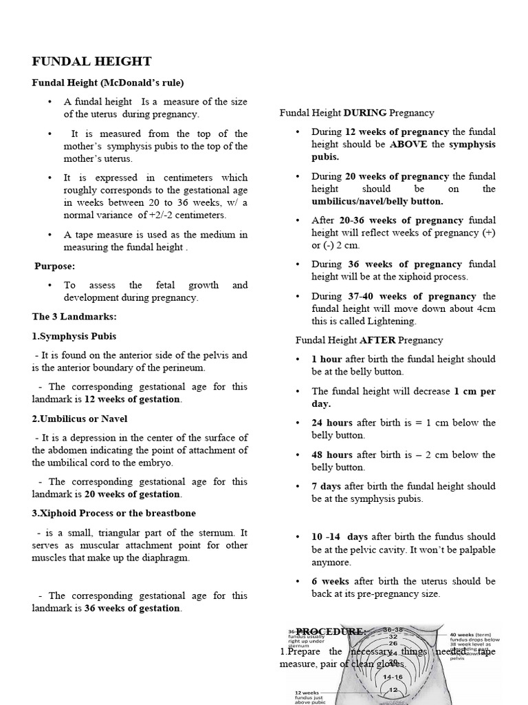 FUNDAL HEIGHT, LEOPOLDS, FHR RETDEMdocx | PDF | Abdomen | Uterus