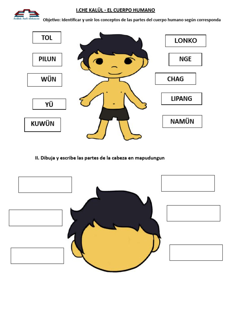 Act #3 Che Kalul Cuerpo Humano | PDF