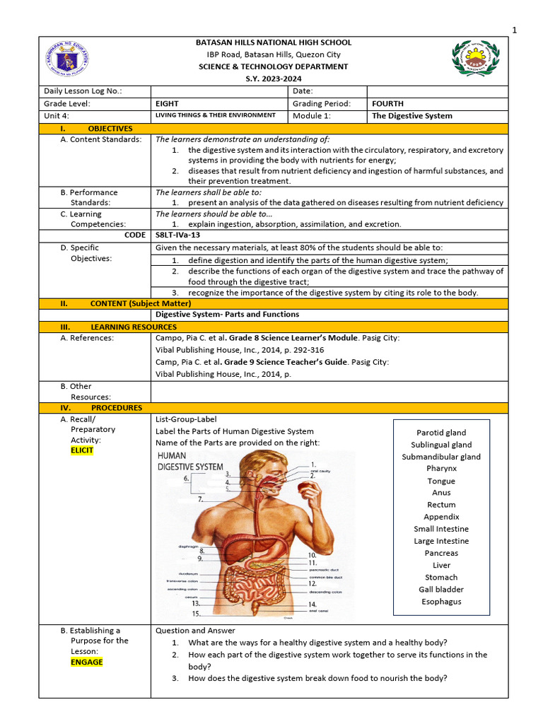 DLL Science 8 Digestive System | PDF | Gastrointestinal Tract | Rectum